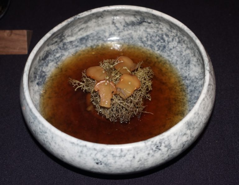 Lichen à déguster et digérer - NutriMarketing