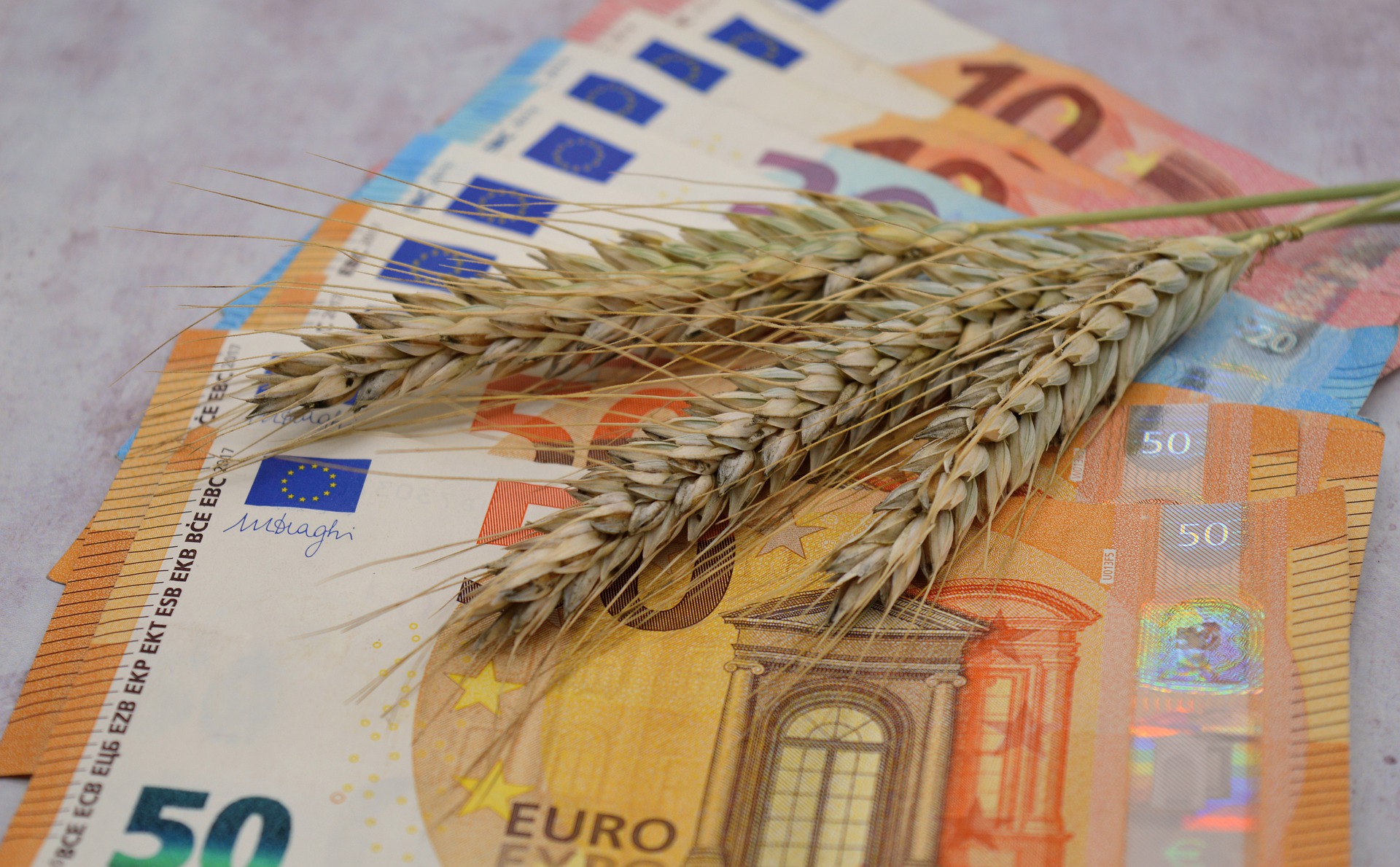 Quelles Sont Les Préoccupations Des Français Nutrimarketing